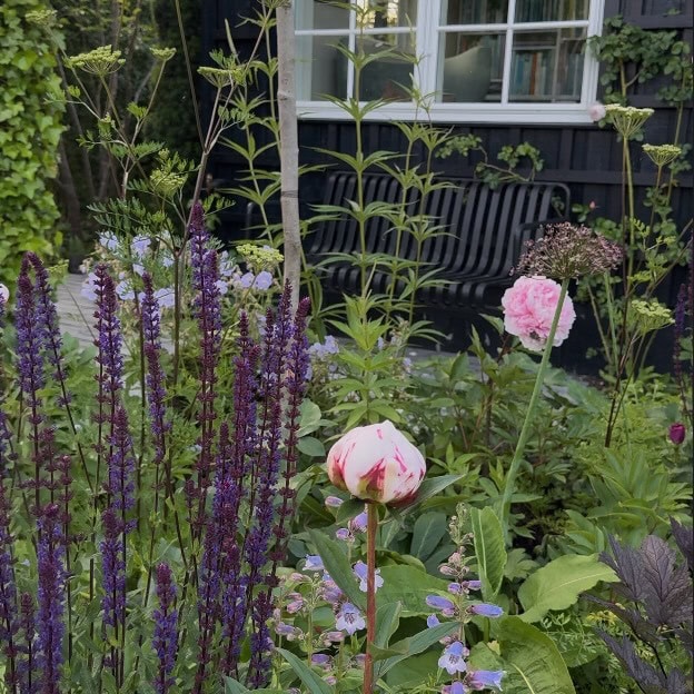 Bed-design og beplantningsplaner fra Rum i Haven